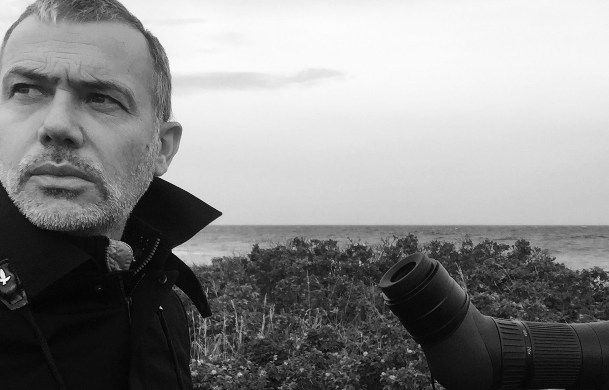 Grebet af det vilde | Alinea